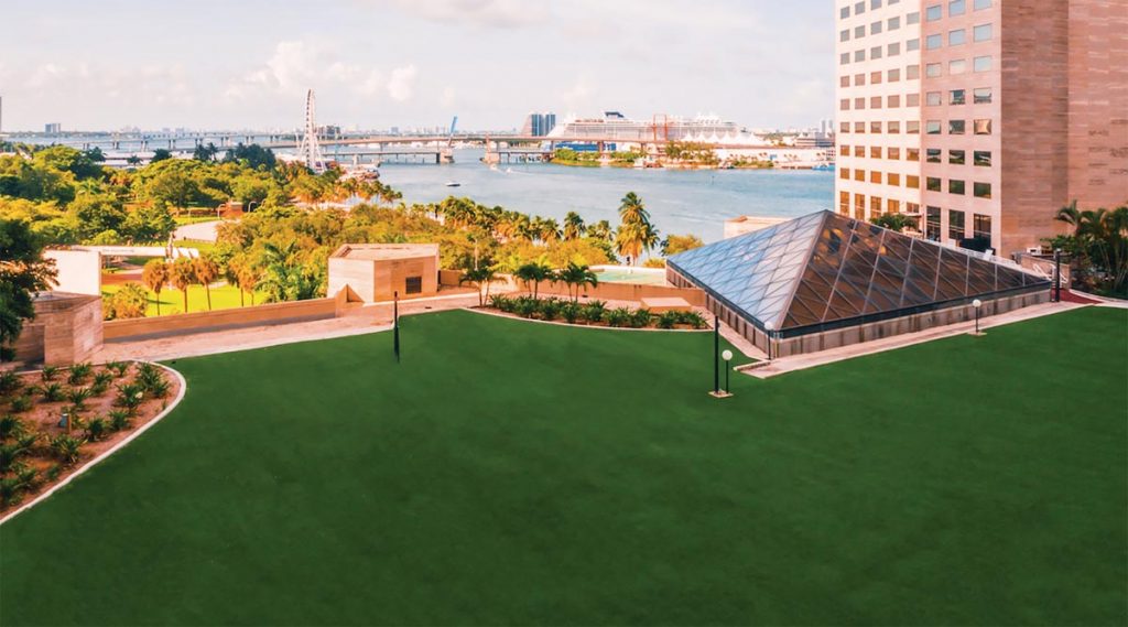 Miami Takes the Pitch for the FIFA World Cup - Palm Beach Illustrated